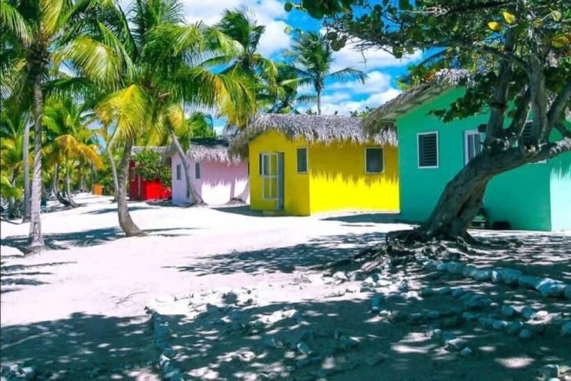 La Romana: Catalina Island Day Trip with Lunch & Drinks - The Practical Side: Transportation, Timing, and Cost