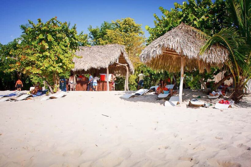 La Romana: Catalina Island Full-Day Snorkeling Tour - FAQ