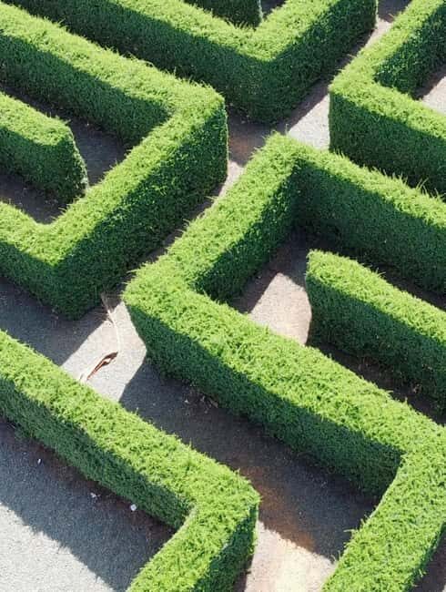 La Romana Half-Day Small Group Tour: Cave, Maze & Culture - FAQs