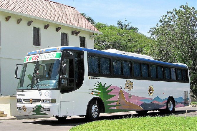 La Romana port transfers (Punta Cana airport to port) - Key Points