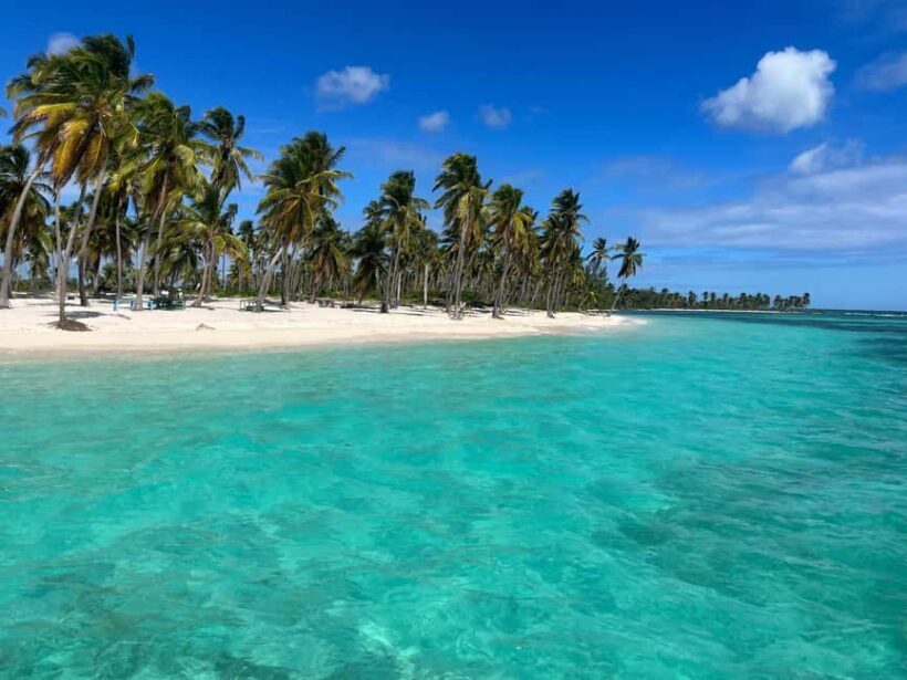 La Romana: Saona Island Boat Tour with Lunch - The Experience: Pros and Cons