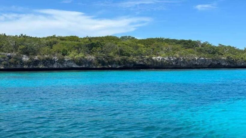 La Romana: Saona Island Tour with Lunch for Mein Schiff - An Overview of the Saona Island Experience