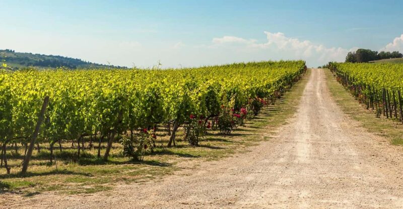 La Sala del Torriano Wine Experience - The Sum Up: Who Should Book?