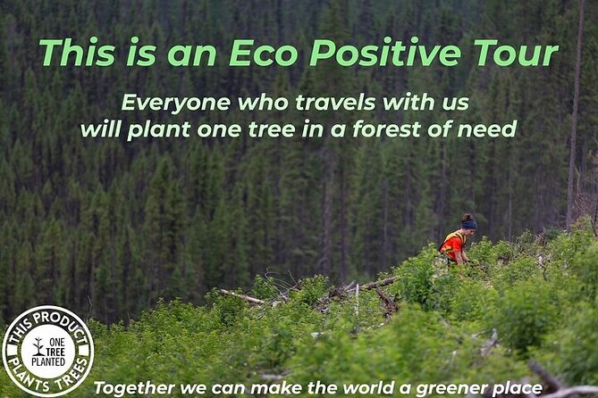 LA: San Francisco, Yosemite, Santa Barbara & Carmel, 3-Days - Transportation and Comfort