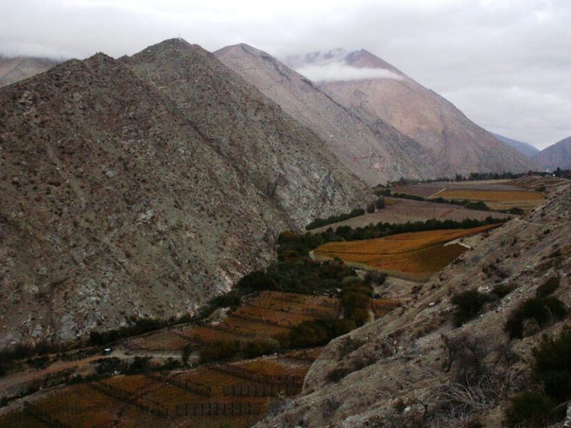 La Serena & Elqui Valley: The Origin of Chilean Wine & Pisco - The Itinerary in Detail