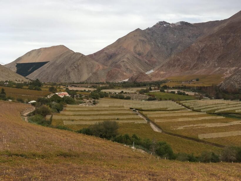 La Serena & Elqui Valley: The Origin of Chilean Wine & Pisco - Who This Tour Is Perfect For