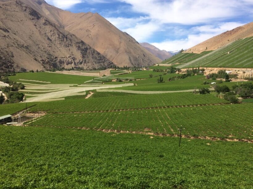 La Serena & Elqui Valley: The Origin of Chilean Wine & Pisco - Frequently Asked Questions