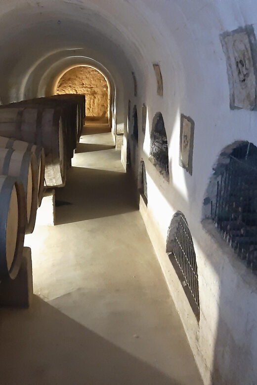 La Serena & Elqui Valley: The Origin of Chilean Wine & Pisco - Final Thoughts