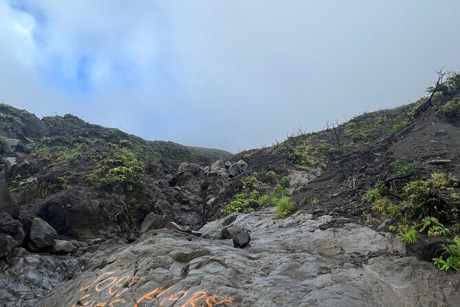 La Soufriere Volcano Hike - Who Should Consider This Tour?