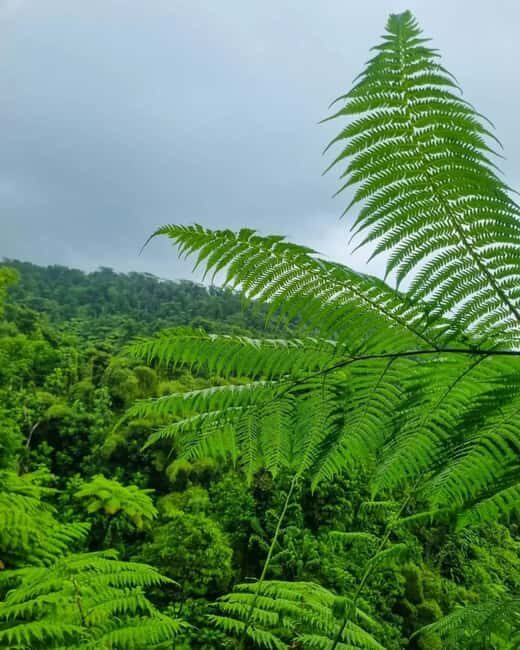 La Soufriere volcano hike in St vincent - FAQ