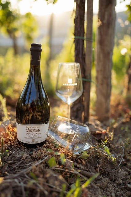 La Spezia: 4 Wines Degustation - A Deep Dive into the Experience