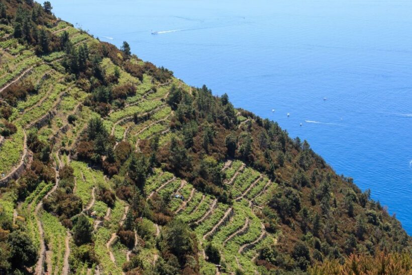 La Spezia: Cinque Terre Guided Hiking Tour - Who Should Consider This Tour?