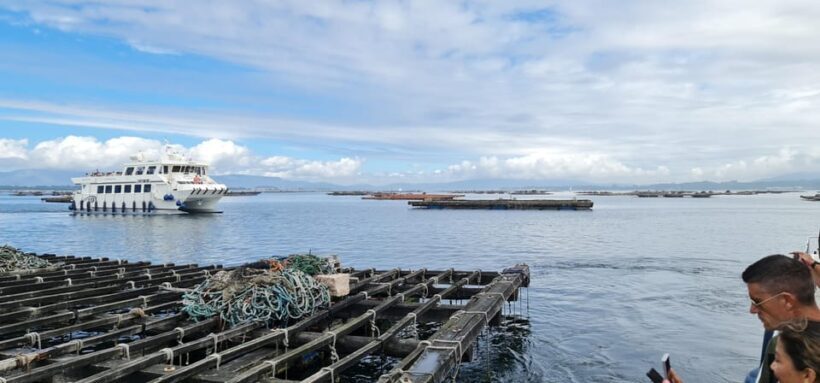La Toja: Boat Tour at the Arousa estuary with mussel tasting - An In-Depth Look at the La Toja Boat Tour