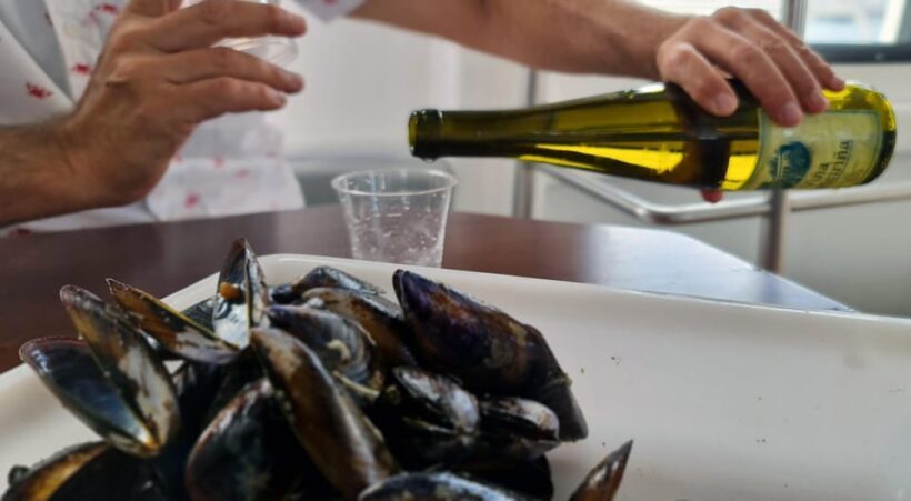 La Toja: Boat Tour at the Arousa estuary with mussel tasting - Final Thoughts: Is It Worth It?