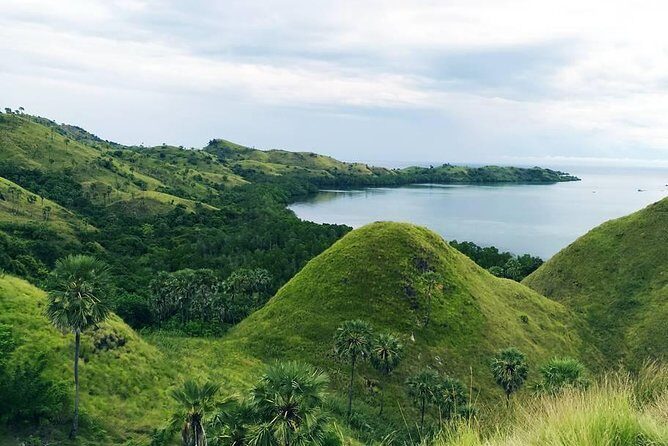 Labuan Bajo In Depth - An In-Depth Look at the Tour Experience