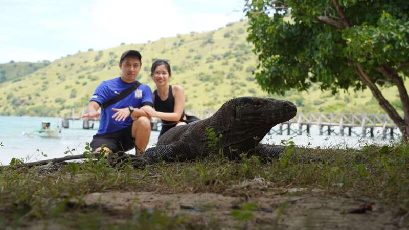Labuan Bajo: Komodo National Park Full-Day Speedboat Tour - The Itinerary: A Breakdown of the Day