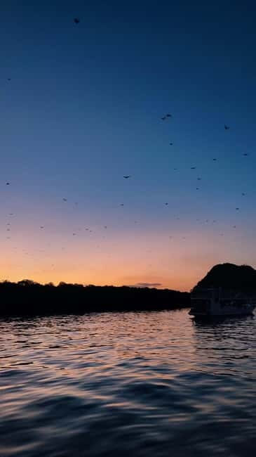Labuan bajo: One Day Komodo Private & Shared Speedboat Trip - Final Thoughts: Is This Tour Right for You?
