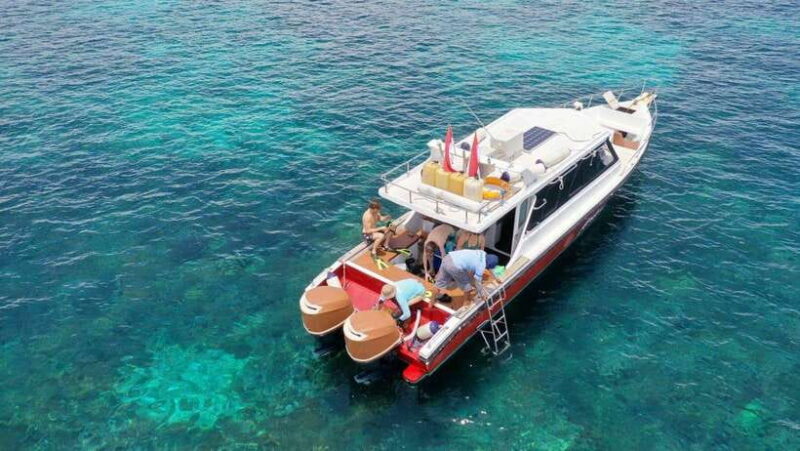 Labuan Bajo: One Day Komodo Tour & Snorkeling - Key Points