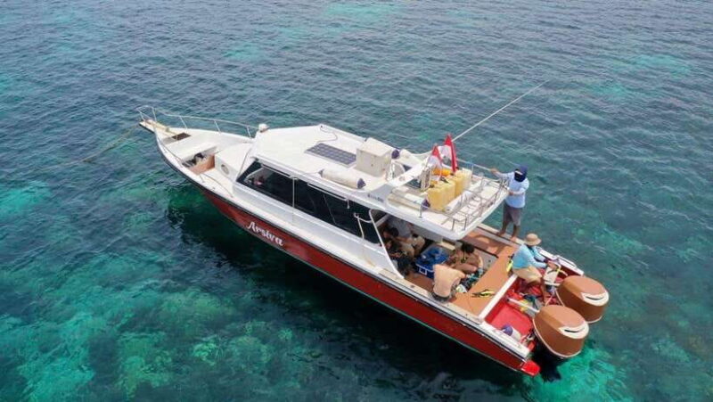 Labuan Bajo: One Day Komodo Tour & Snorkeling - Logistics and What to Expect