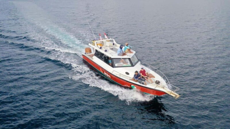 Labuan Bajo: One Day Komodo Tour & Snorkeling - Authentic Experiences and Traveler Feedback