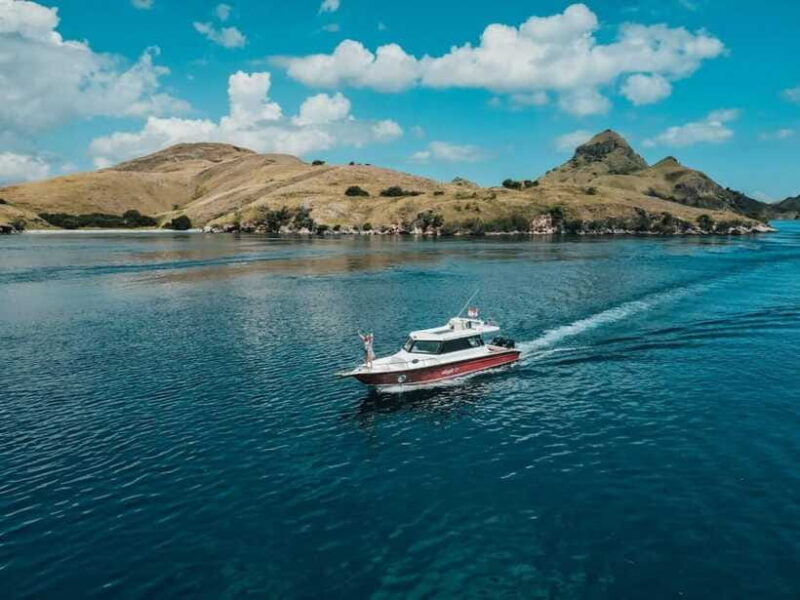 Labuan Bajo: One Day Komodo Tour & Snorkeling - FAQ
