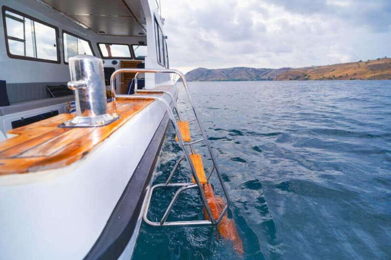 Labuan Bajo: One Day Tour to Explore Komodo National Park - What Are the Key Points?