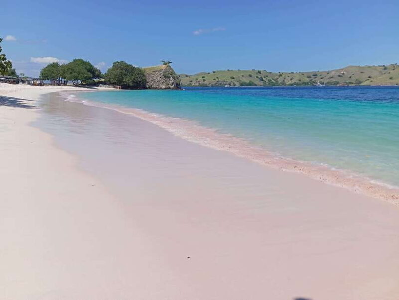 Labuan Bajo: One Day Tour to Explore Komodo National Park - What Makes This Tour a Good Value?