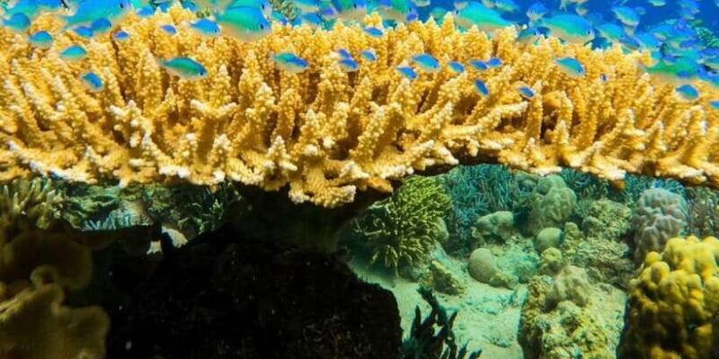 Labuan Bajo: Rangko Cave and Beach Snorkeling Half-Day Tour - Who Will Love This Tour?