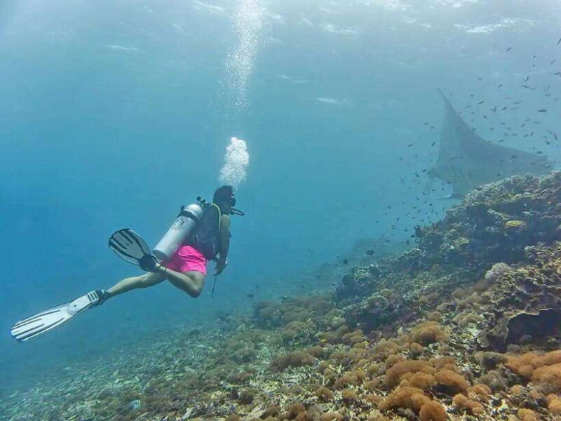 Labuan Bajo: Sunset Panorama, National Park - Key Points