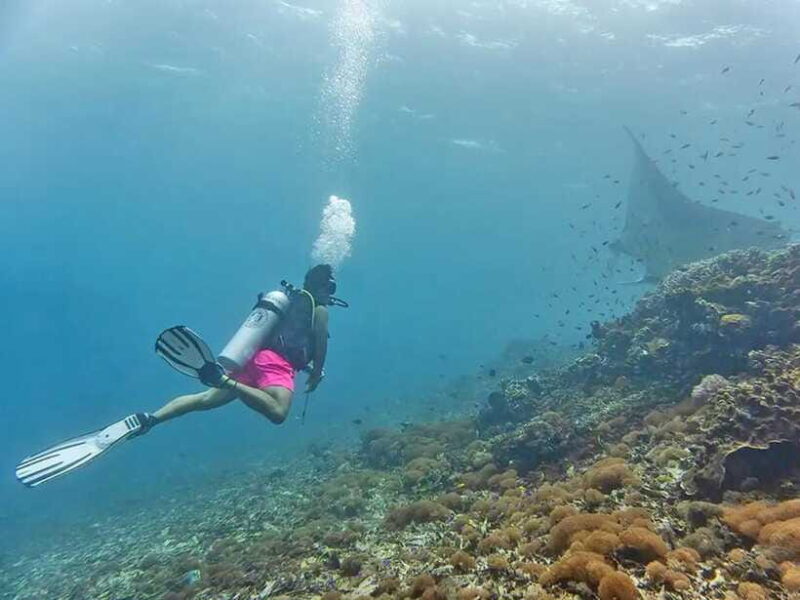 Labuan Bajo: Sunset Panorama, National Park - Final Thoughts: Who Should Consider This Tour?