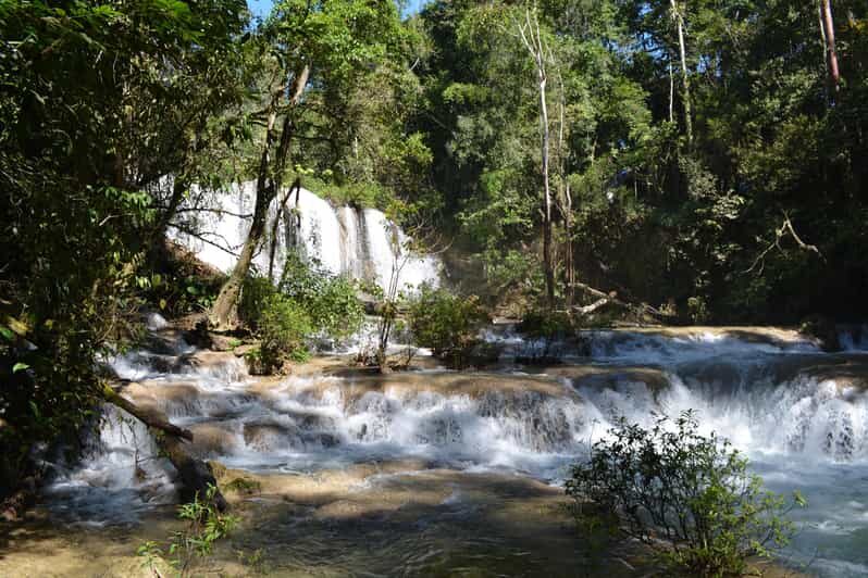 Lacandon Jungle Adventure and Bonampak Archaelogical Site - FAQ