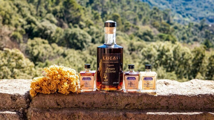 Laconi: chocolate and typical liqueurs tasting - Why Choose This Experience?