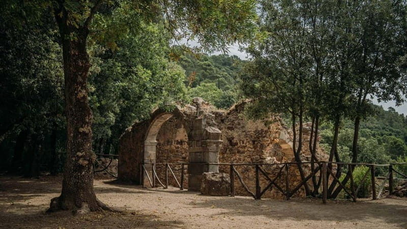 Laconi: guided tour discovering the village - Who Should Consider This Tour?