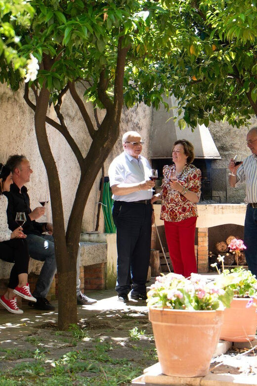 Laconi: visit a winery with wine tasting - Key Points