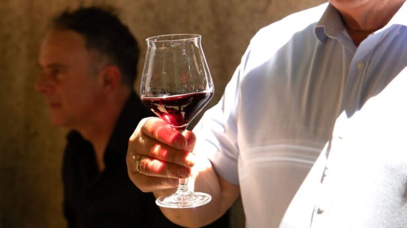 Laconi: visit a winery with wine tasting - Who Will Enjoy This Tour?