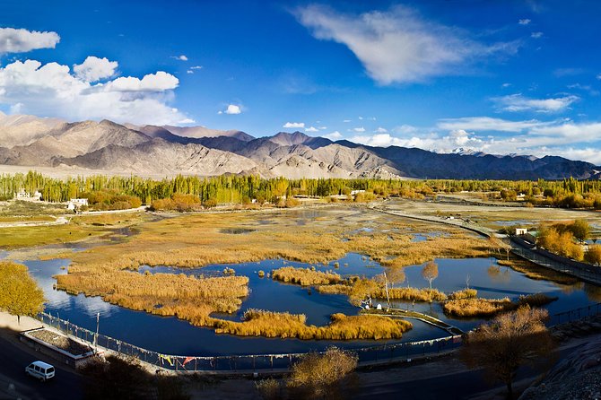 Ladakh 5-Star Premium Tour 7 Days - Key Points