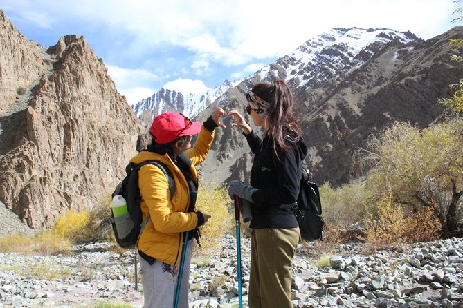 Ladakh One Day Trek- Gyamtsa to Phyang Village - Introduction