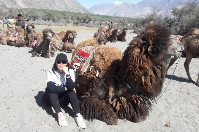 Ladakh Special Tours - FAQ