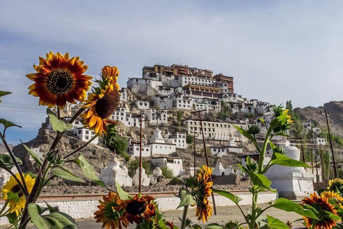 Laddakh Valley Tour (Leh, Nubra & Pangong Lake) - FAQ
