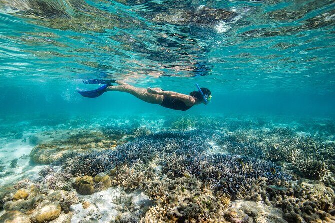 Lady Enid Sailing to Hook Island Cultural Site & Snorkelling - What’s Included and What to Consider