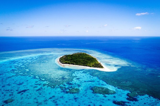 Lady Musgrave Day Trip from Bundaberg Including Snorkeling - Key Points