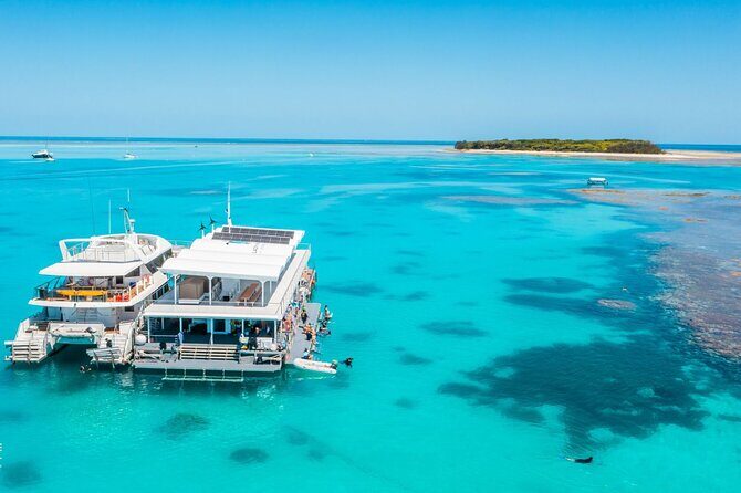 Lady Musgrave Day Trip from Bundaberg Including Snorkeling - The Itinerary in Detail: What to Expect