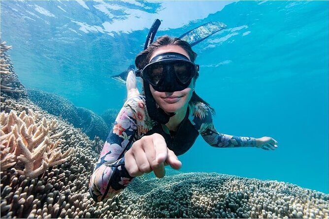 Lady Musgrave Day Trip from Bundaberg Including Snorkeling - The Sum Up