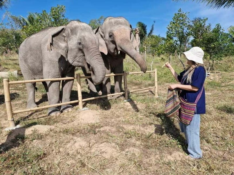 Laem Chabang Port: Sanctuary of Truth & Elephant Sanctuary - The Sum Up