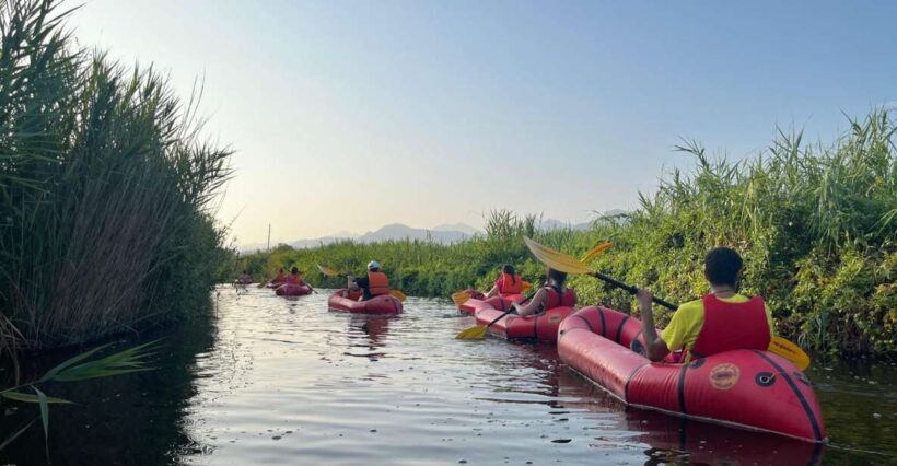 Lago di Massaciuccoli: tour in kayak con Aperitivo - A Gentle Introduction to a Unique Lake Experience