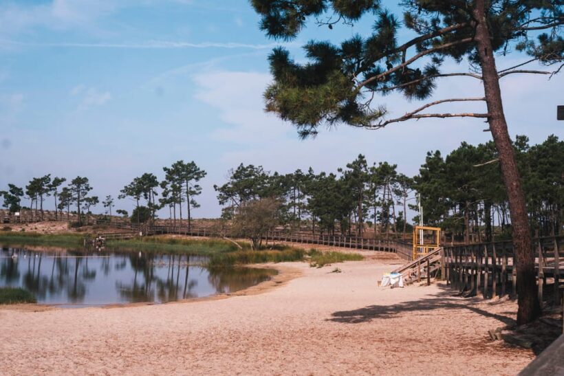 Lagoa da Ervedeira E-bike and Stand Up Paddle tour - FAQ