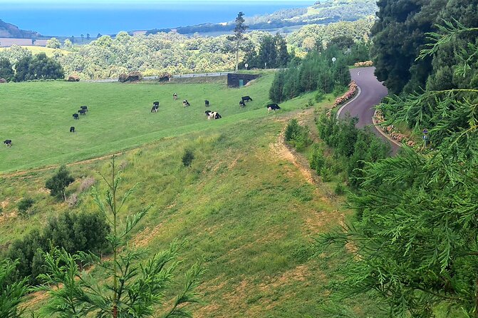 Lagoa do Fogo and Ribeira Grande Half Day Private Tour - Practical Considerations