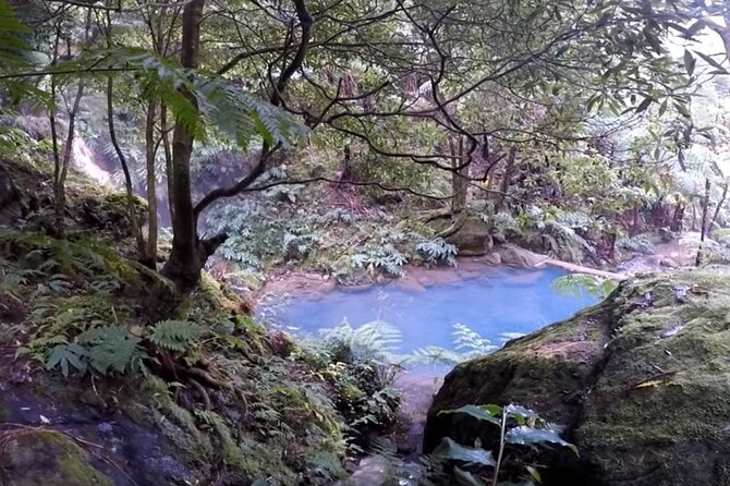 Lagoa Do Fogo Guided Volcano Geo Tour W/ Hotsprings Bathing - Itinerary and Activities