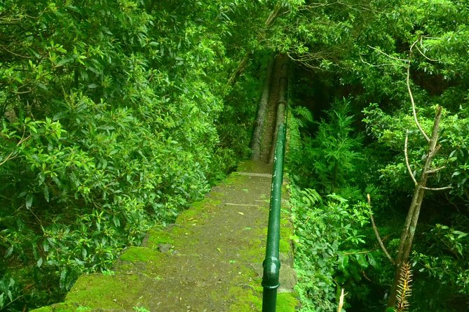 Lagoa do Fogo, Hike Janela do Inferno - An In-Depth Look at the Tour