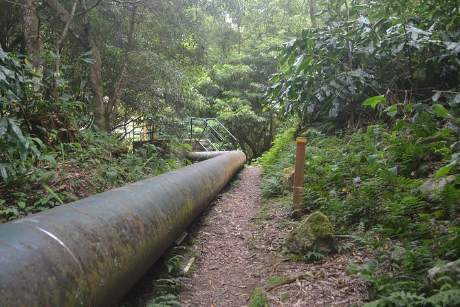 Lagoa do Fogo, Hike Salto do Cabrito and Hotsprings - Who Should Book This Tour?